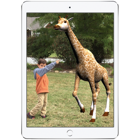 My Letters alive Journals | Alive Studios | Supplemental Reading and ...